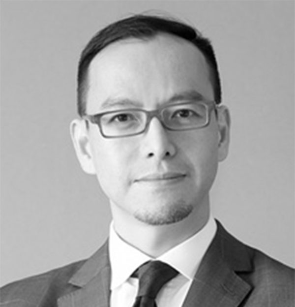 Bernard Chang - Zak World of Façades